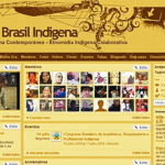 Denilson Baniwa: Arte, Ativismo e a Voz Indígena amplificada na ...