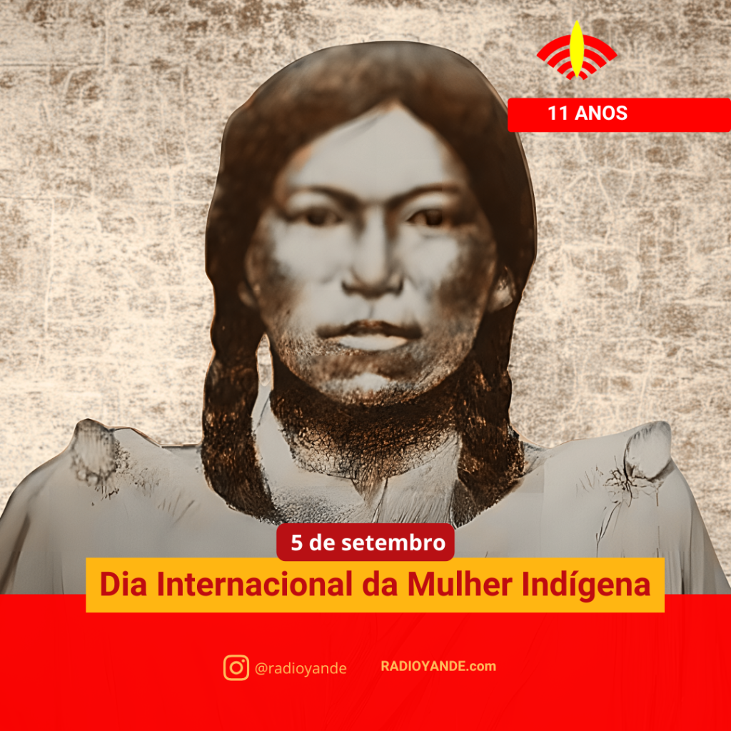 Denilson Baniwa: Arte, Ativismo e a Voz Indígena amplificada na ...