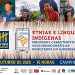 Denilson Baniwa: Arte, Ativismo e a Voz Indígena amplificada na ...